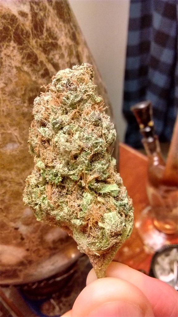 Beast Mode Weed