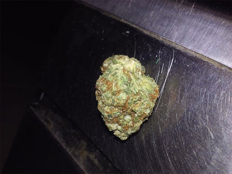 Beast Mode aka Beast Mode OG, Beast Mode 1.0, Beast Mode OG Kush Weed ...