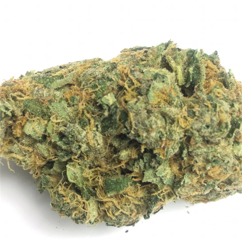 Photos of Big Buddha Cheese Weed Strain Buds | Leafly