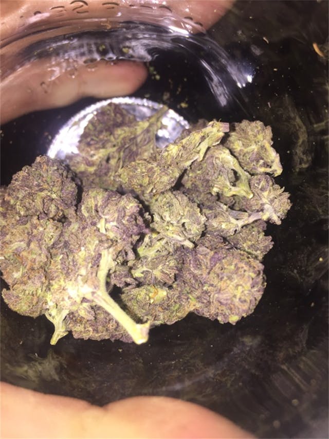 Photos of Big Skunk Korean Weed Strain Buds | Leafly