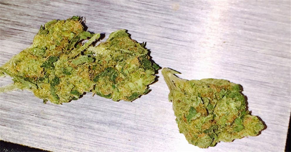 Photos of Bio-Diesel Weed Strain Buds | Leafly