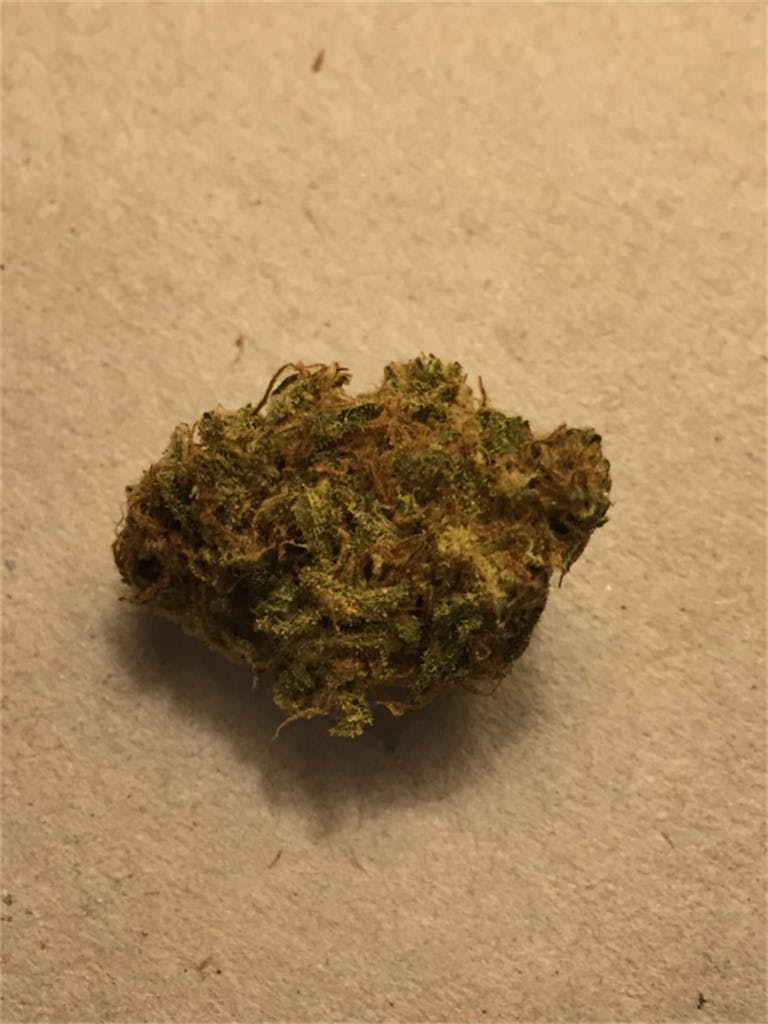 Black '84 aka UW Black '84, Black 1984 Weed Strain Information | Leafly