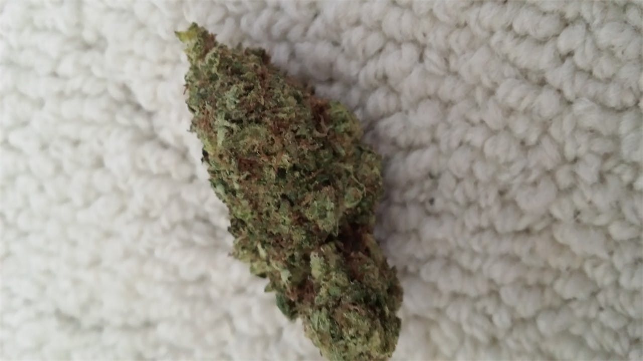 Photos of Black Cherry OG Weed Strain Buds | Leafly