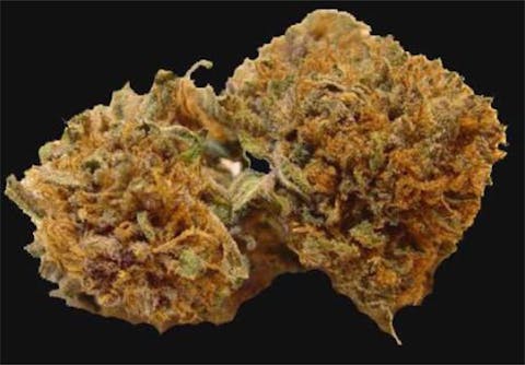 Black Magic Kush Weed Strain Information | Leafly