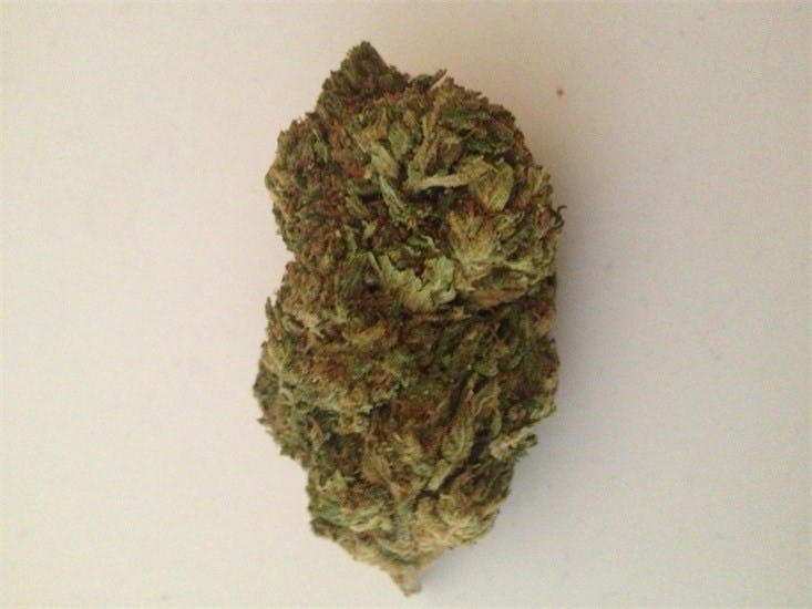 Photos of Black Mamba Weed Strain Buds | Leafly