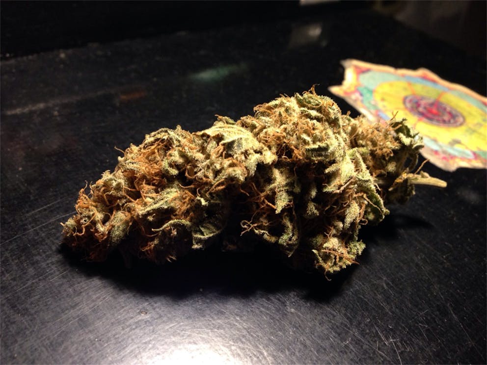 Photos of Black Mamba Weed Strain Buds | Leafly