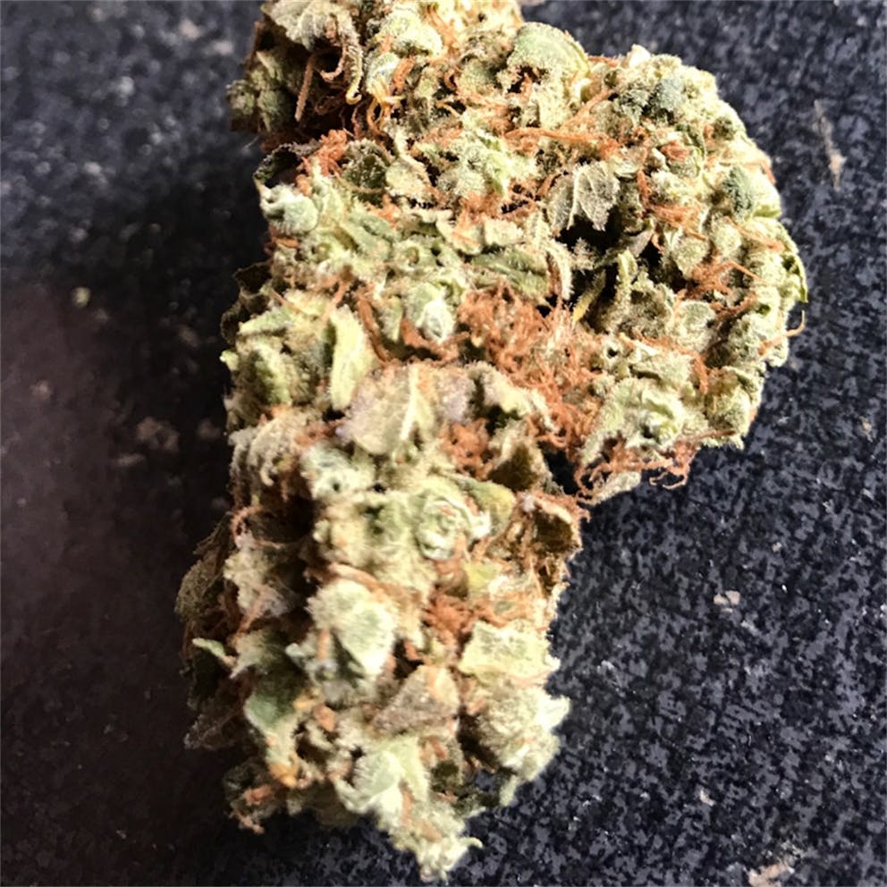 Photos of Blockhead Weed Strain Buds | Leafly