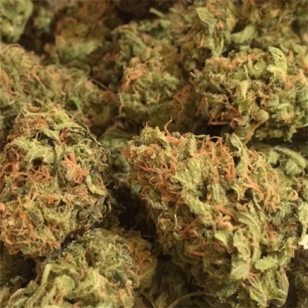 Photos Of Blue Cheese Weed Strain Buds Leafly