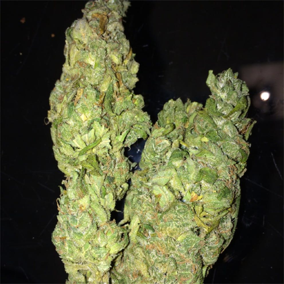 Photos of Blue Cheese Weed Strain Buds | Leafly