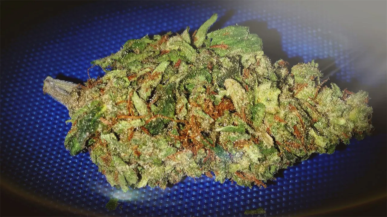 Photos of Blue Cheese Weed Strain Buds | Leafly