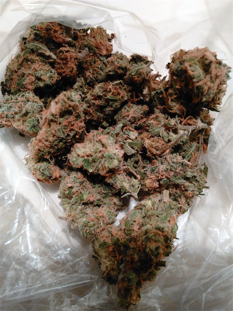 Photos of Blue Cheese Weed Strain Buds | Leafly