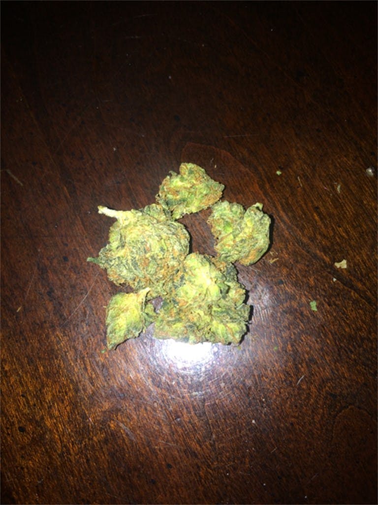 Photos of Blue Cookies Weed Strain Buds | Leafly