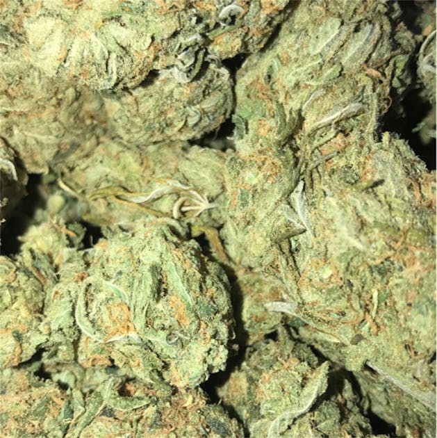 Photos of Blue Diamond Weed Strain Buds | Leafly