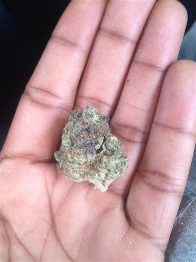 Photos of Blue Diesel Weed Strain Buds | Leafly