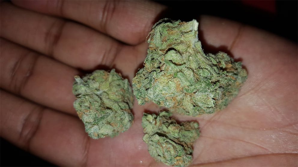 Photos of Blue Diesel Weed Strain Buds | Leafly