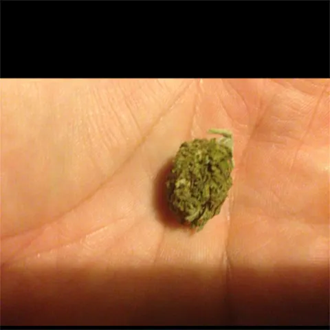 Blue Dragon Weed Strain Information | Leafly
