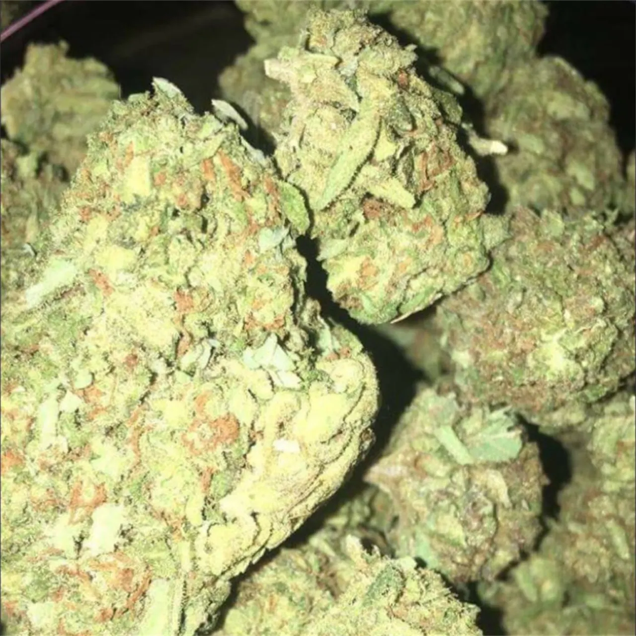 Photos of Blue Dream Weed Strain Buds | Leafly