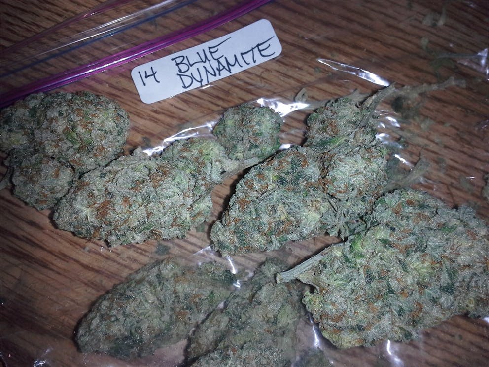 Photos of Blue Dynamite Weed Strain Buds | Leafly
