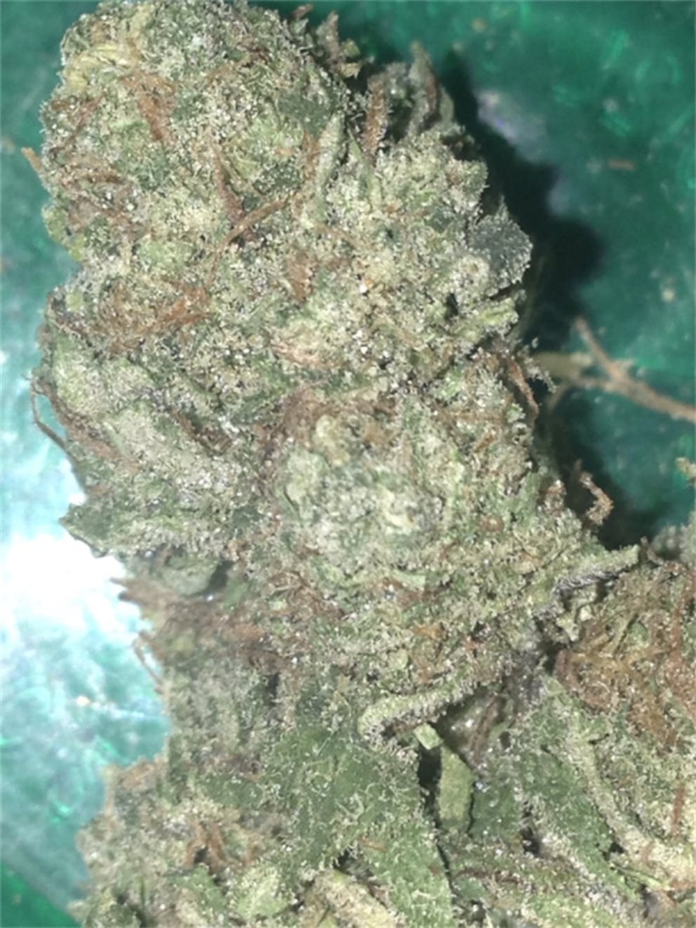 Photos of Blue Dynamite Weed Strain Buds | Leafly