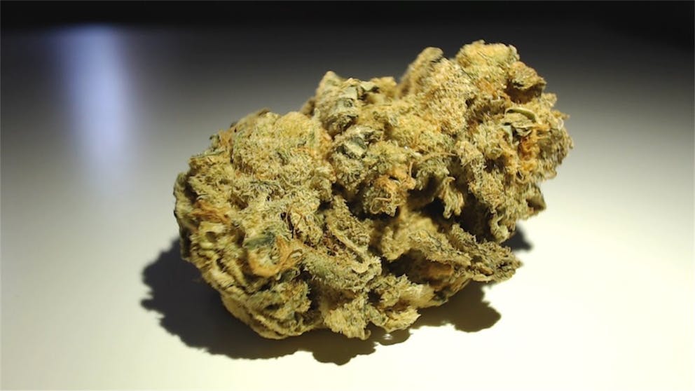 Photos of Blue Haze Weed Strain Buds | Leafly