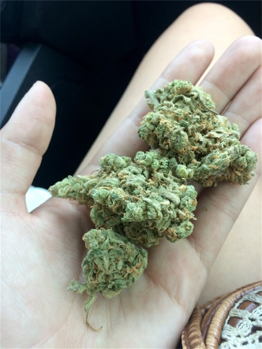 Photos of Blue Haze Weed Strain Buds | Leafly