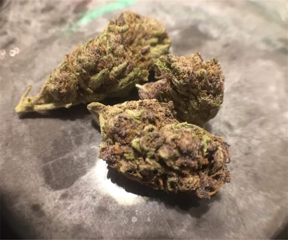 Photos of Blue Knight Weed Strain Buds | Leafly