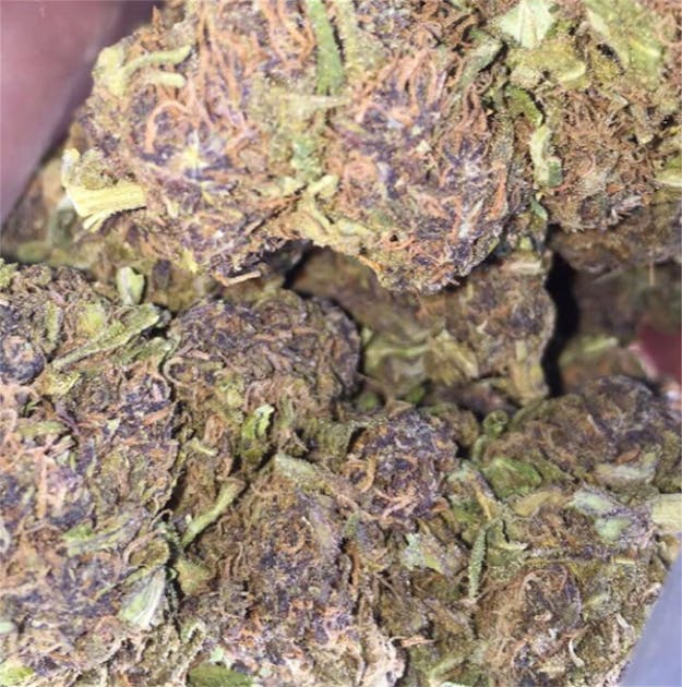 Photos of Blue Knight Weed Strain Buds | Leafly