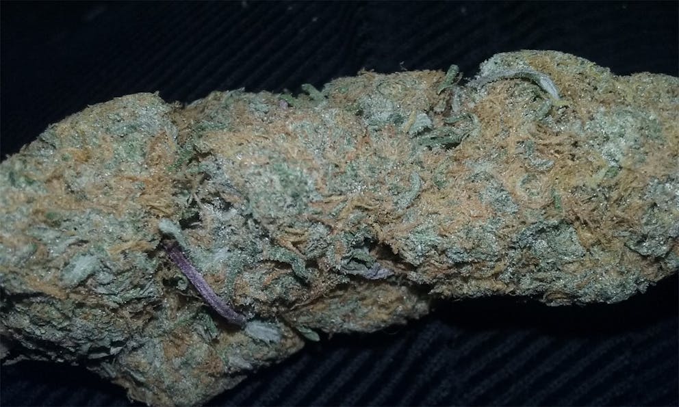 Photos of Blue Knight Weed Strain Buds | Leafly