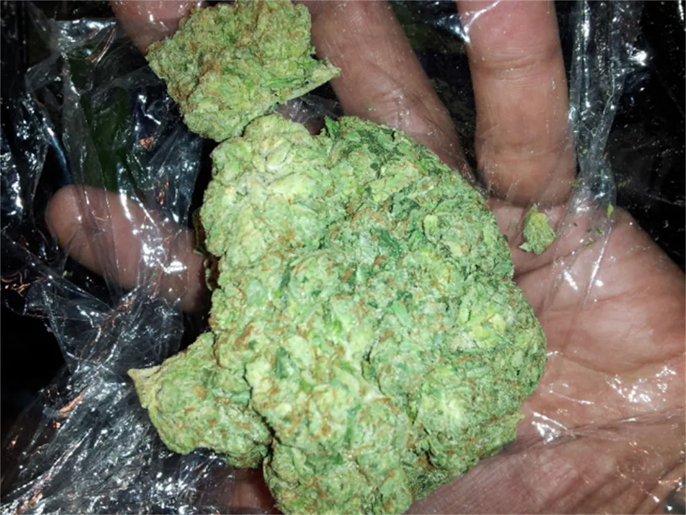 Photos of Blue Kush Weed Strain Buds | Leafly