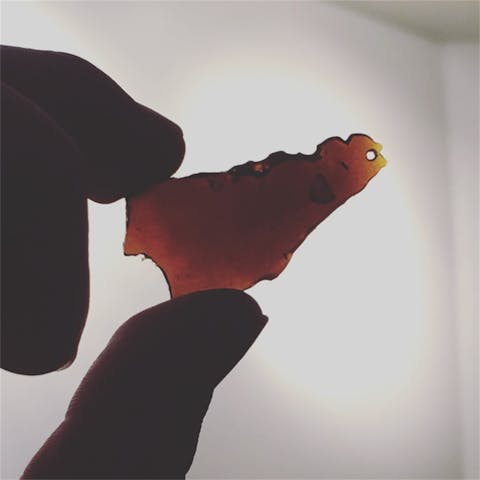 Blue Monster Weed Strain Information | Leafly