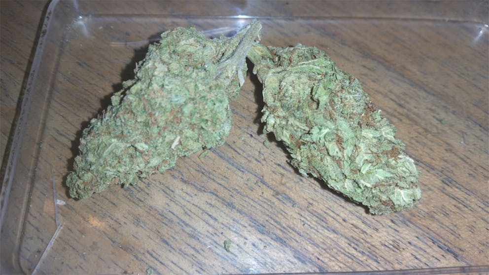 Photos of Blue Sky Weed Strain Buds | Leafly