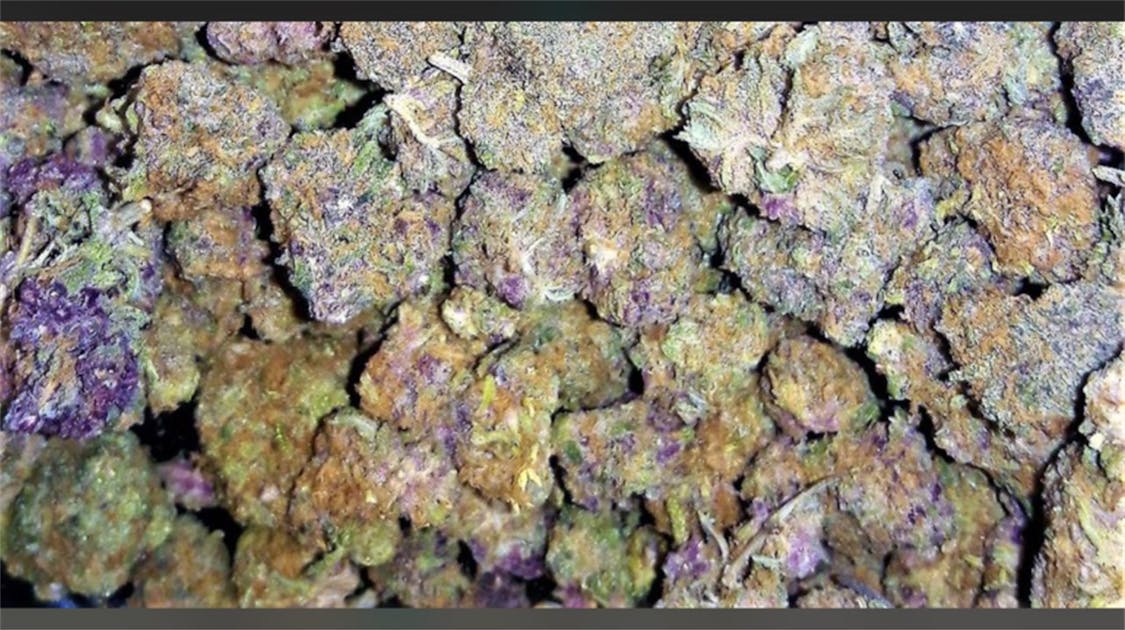 Photos of Blue Zombie Weed Strain Buds | Leafly