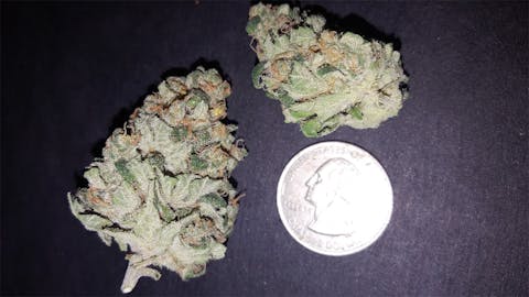 Blueberry Haze Weed Strain Information | Leafly