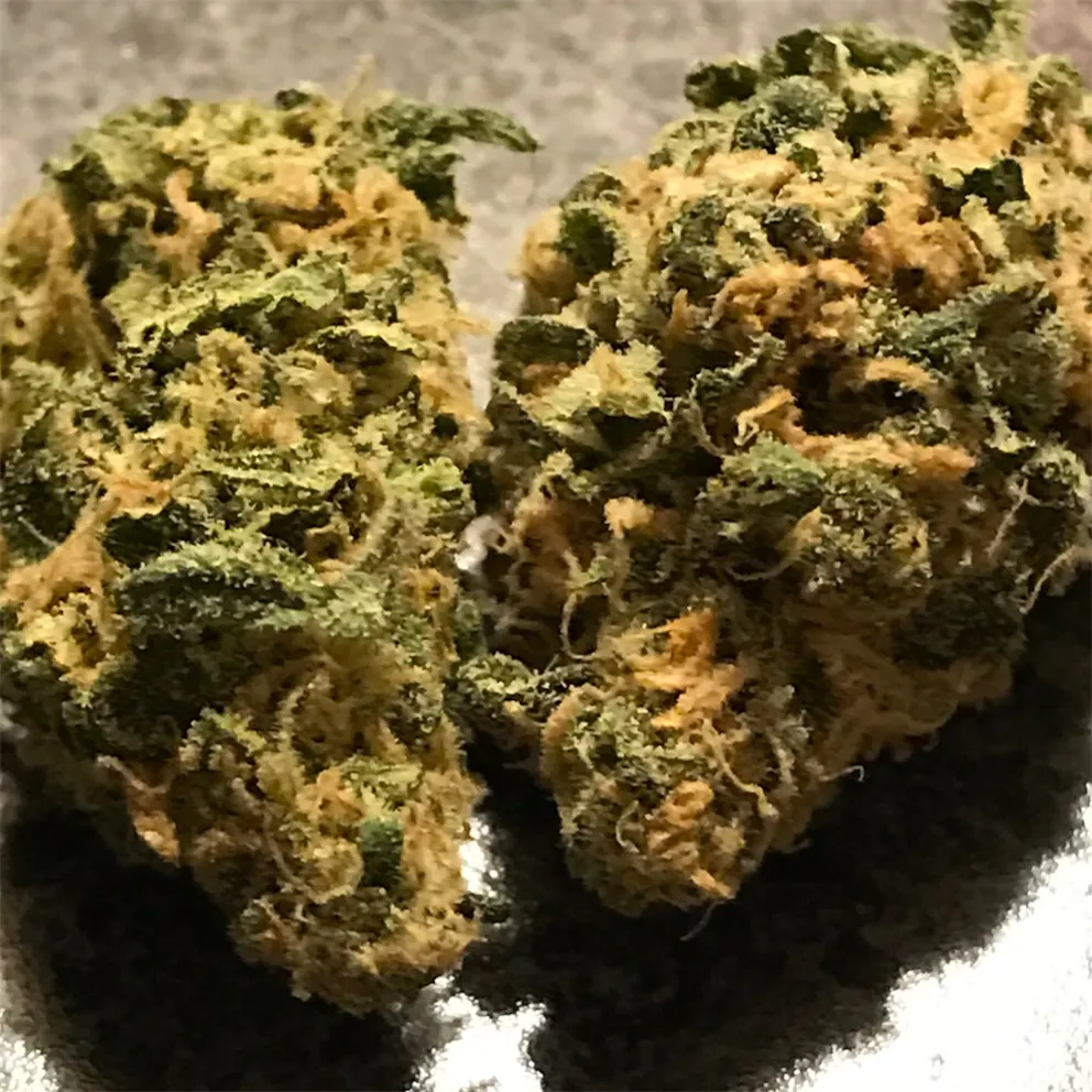 Photos of Blueberry Headband Weed Strain Buds | Leafly