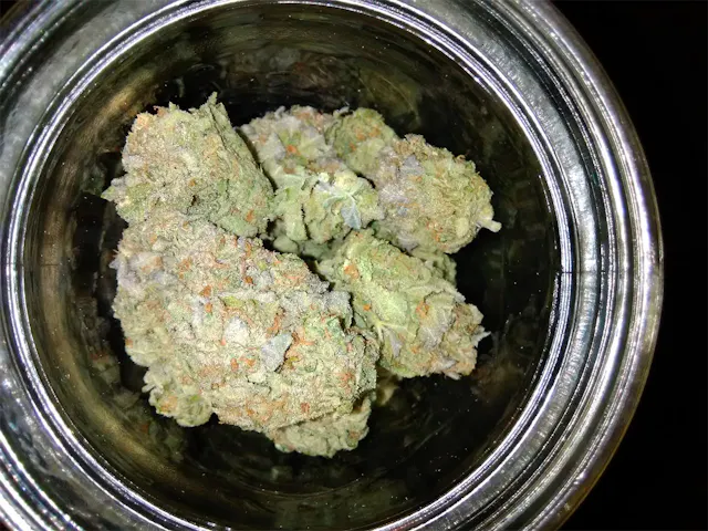 Photos of Blueberry Weed Strain Buds | Leafly