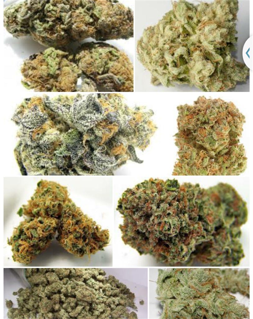 Photos of Bruce Banner Weed Strain Buds | Leafly