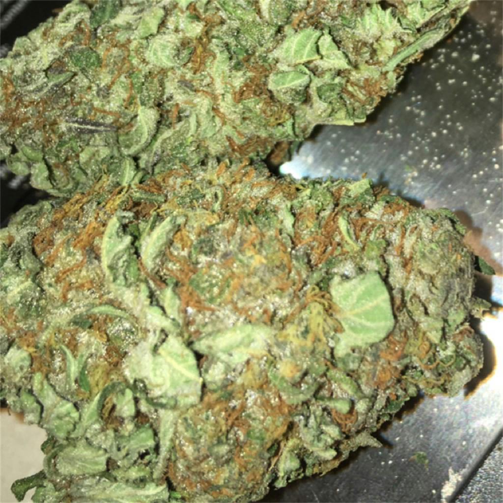 Boy Scout Cookies aka BSC, Boy Scout Weed Strain Information | Leafly