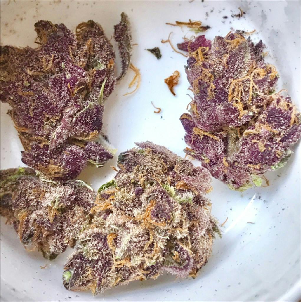 Buckeye Purple Weed Strain Information | Leafly