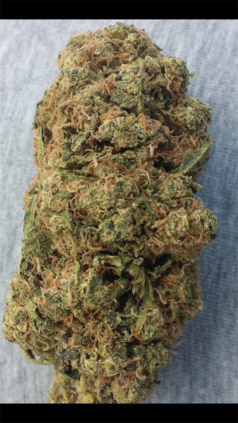 Burmese Kush aka Burma Weed Strain Information | Leafly