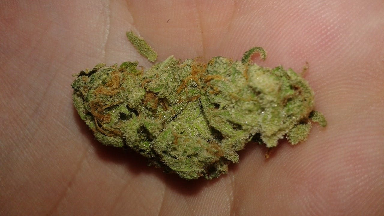 Photos of California Orange Weed Strain Buds | Leafly