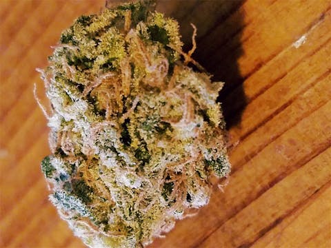 Candy Jack Weed Strain Information | Leafly