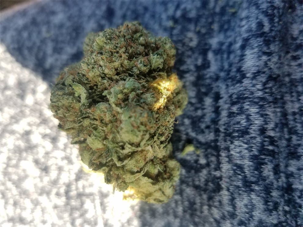 Photos of Captain America OG Weed Strain Buds | Leafly