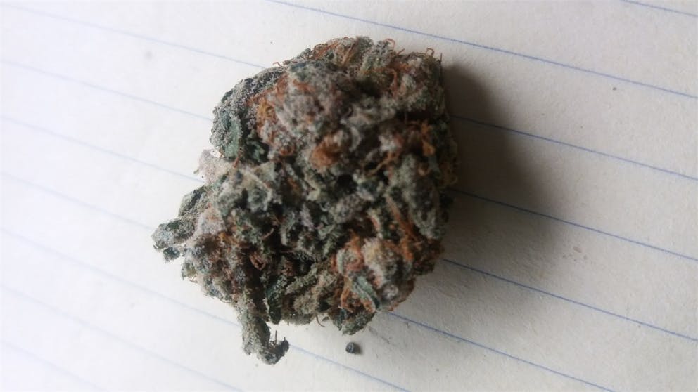 Photos of Captain America OG Weed Strain Buds | Leafly