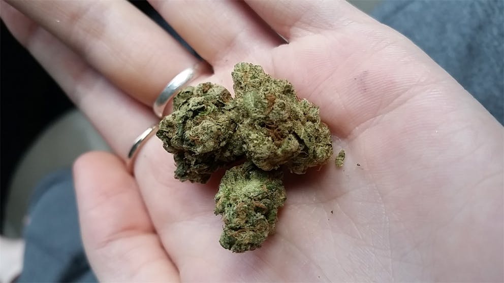 Photos of Caramelicious Weed Strain Buds | Leafly