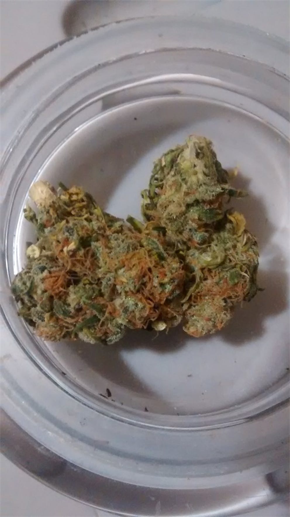 Photos of Caramelicious Weed Strain Buds | Leafly