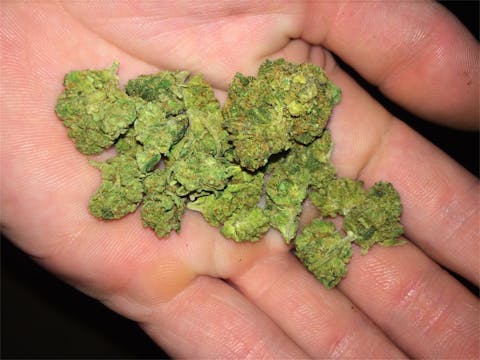 Chem Scout aka Chemscout Weed Strain Information | Leafly