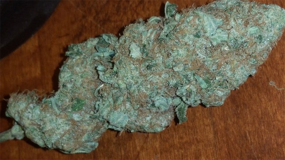 Photos of Chem Valley Kush Weed Strain Buds | Leafly