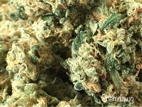 Chemdawg aka Chemdog Weed Strain Information | Leafly