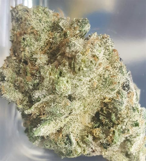 Chernobyl Weed Strain Information | Leafly