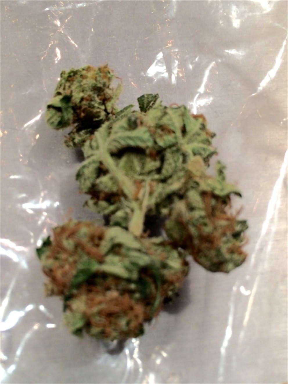 Photos of Cherry Diesel Weed Strain Buds | Leafly